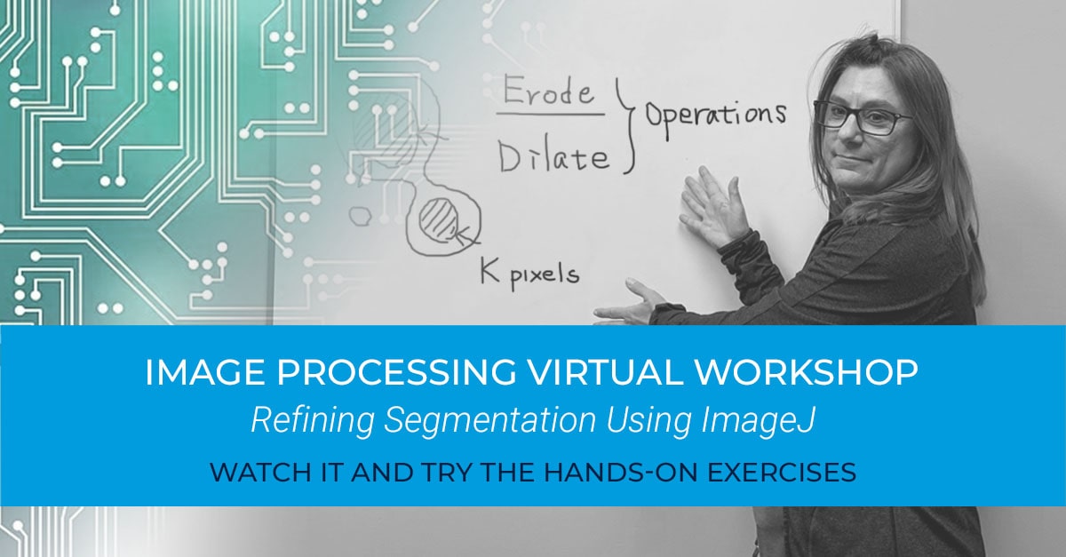 Image Processing Virtual Workshop Series